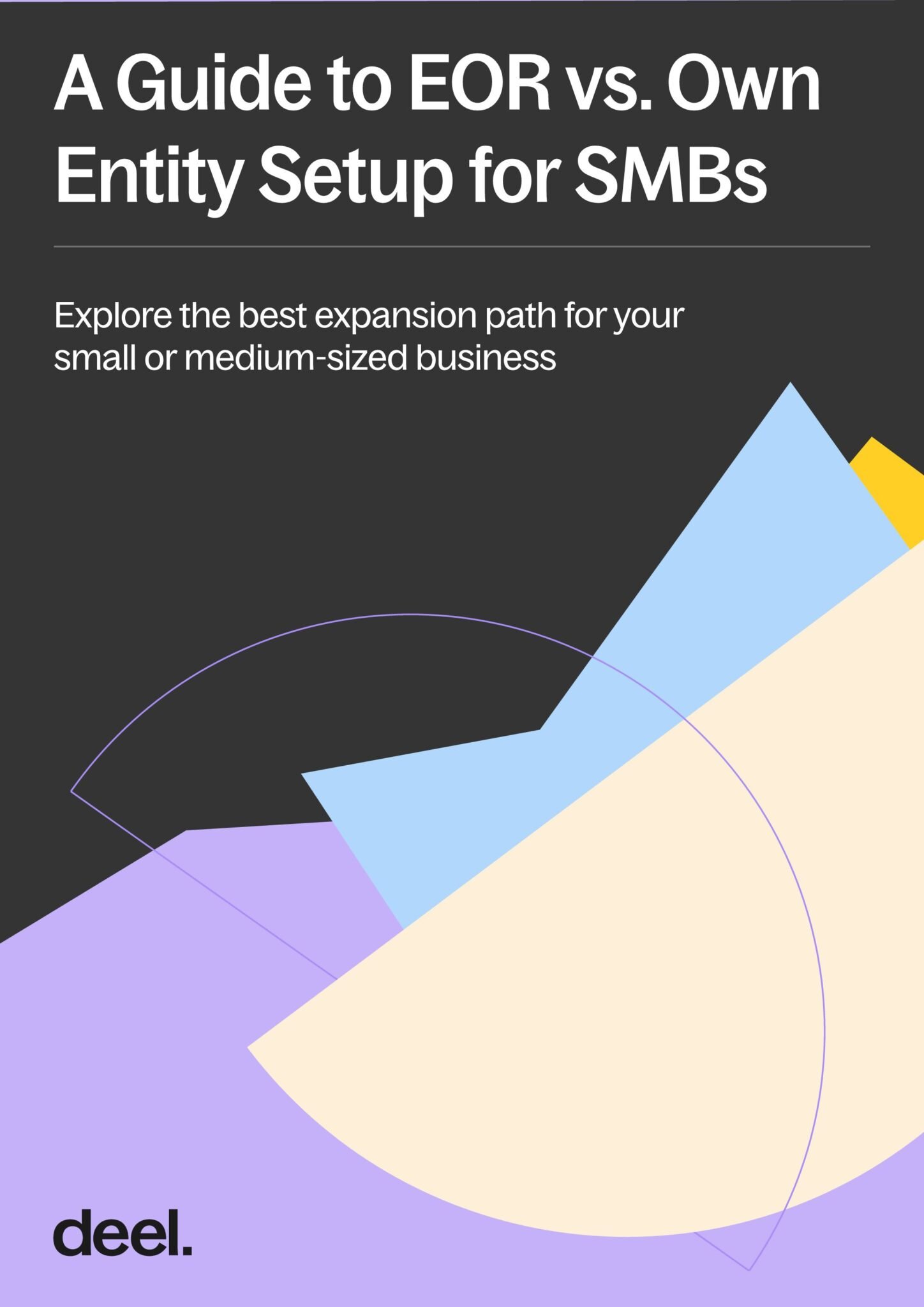 A Guide to EOR vs. Own Entity Setup for SMBs